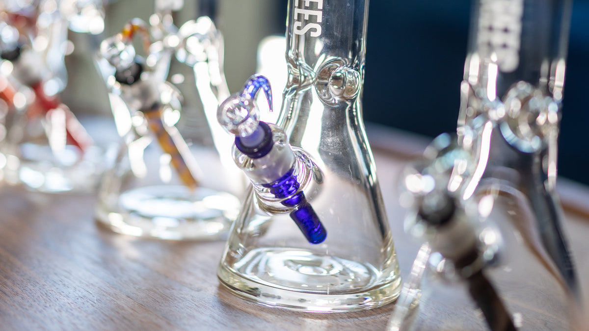 Glass Beakers – Push Trees Inc