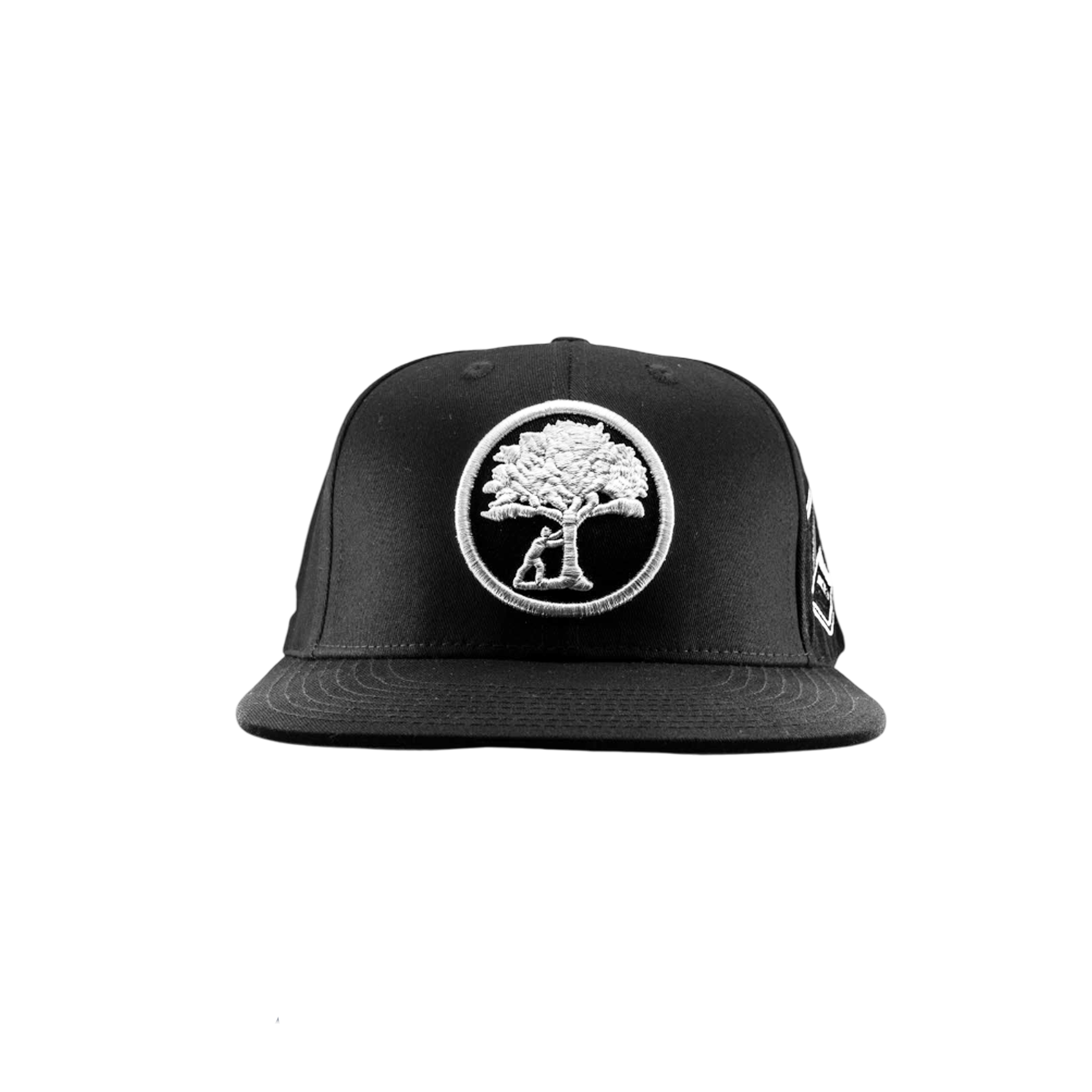 Push Trees Stamp Snapback – Push Trees Inc