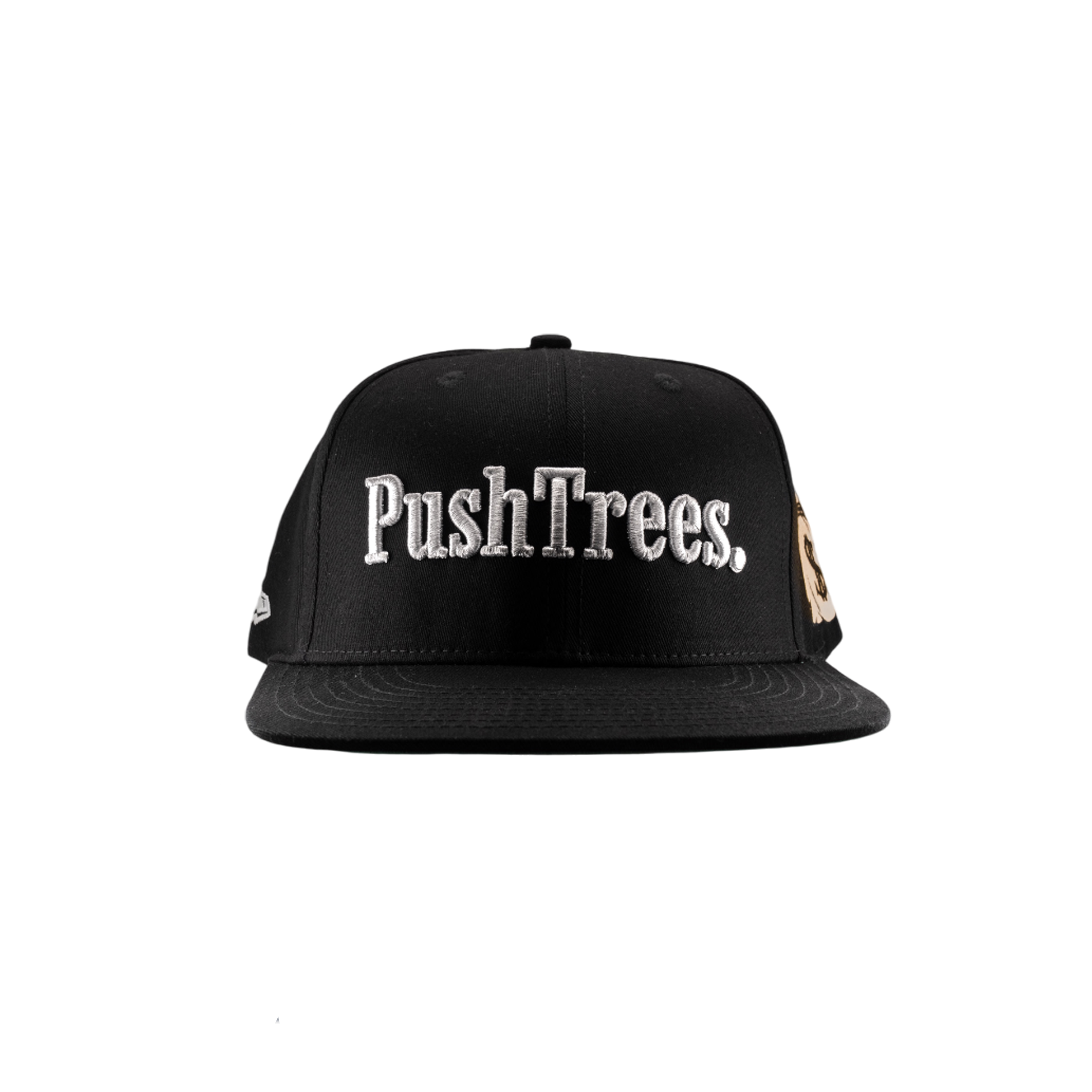 OG Push Trees Snapback – Push Trees Inc