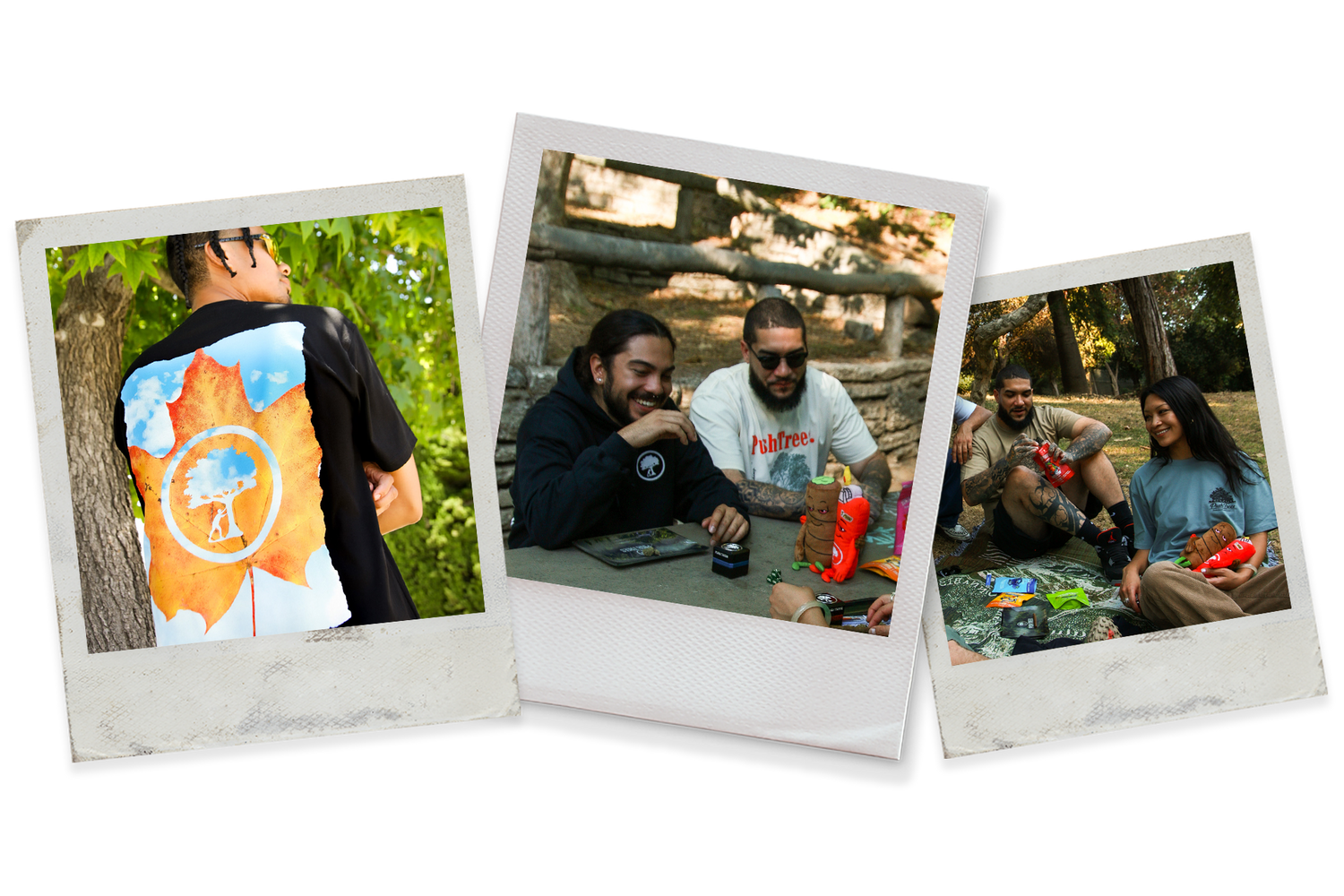 Push Trees. – Push Trees Inc