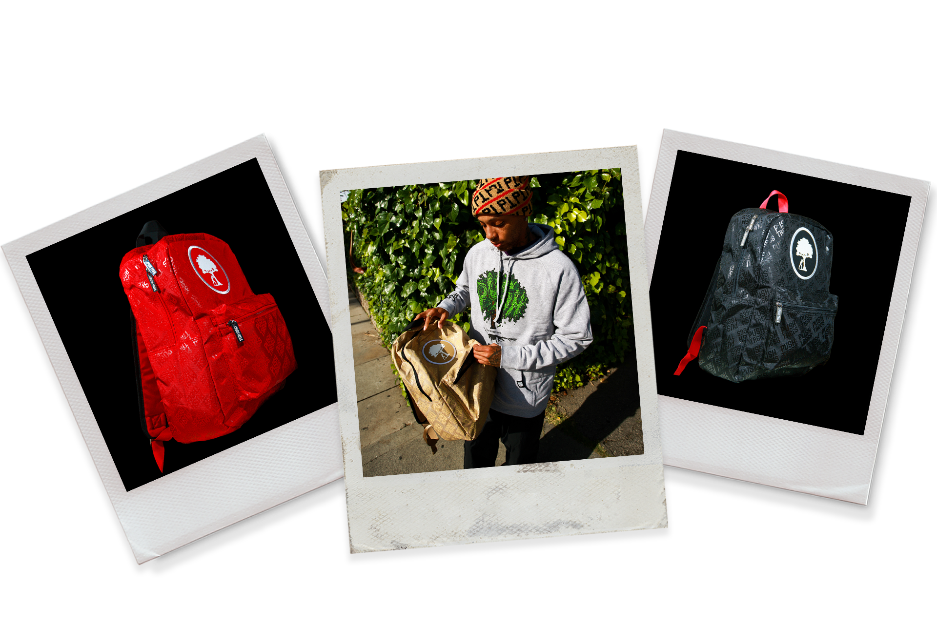 Push Trees. – Push Trees Inc