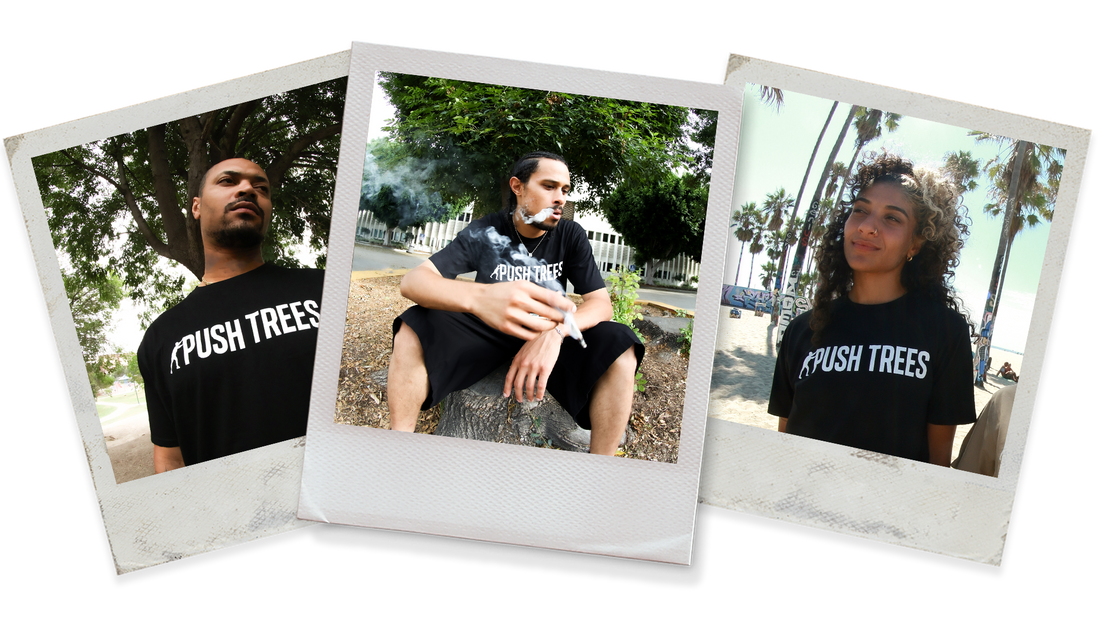 Push Trees. – Push Trees Inc