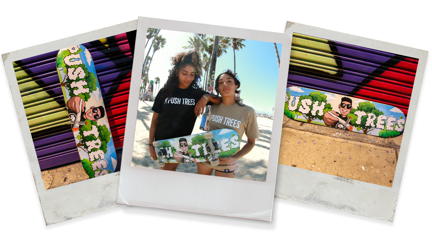 Push Trees. – Push Trees Inc